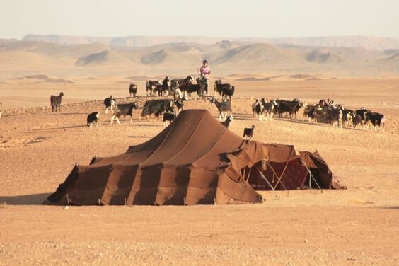 Traditional Desert Tents